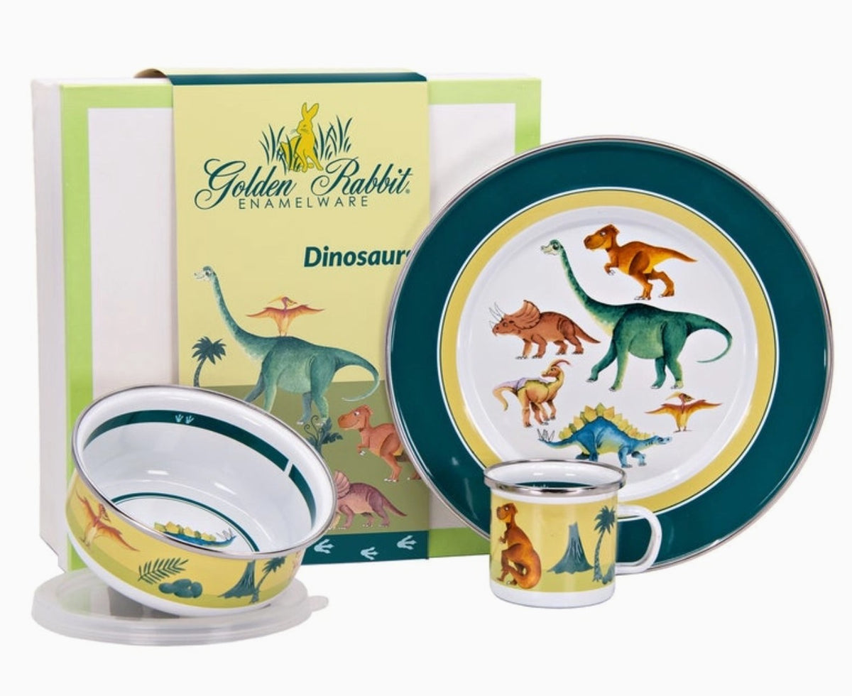 Dinosaurs Boxed Dish Set – Belles & Beaux®