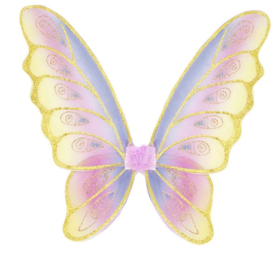 Glitter Rainbow Wings – Belles & Beaux®